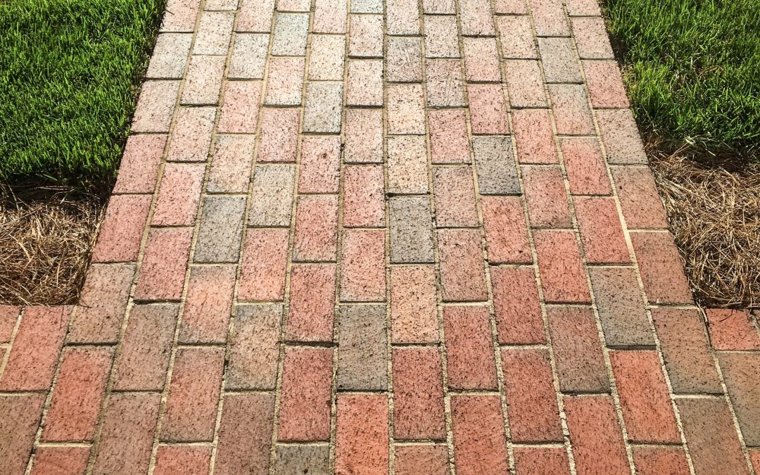 Brick Paver Path Up Close - Pine Hall Brick