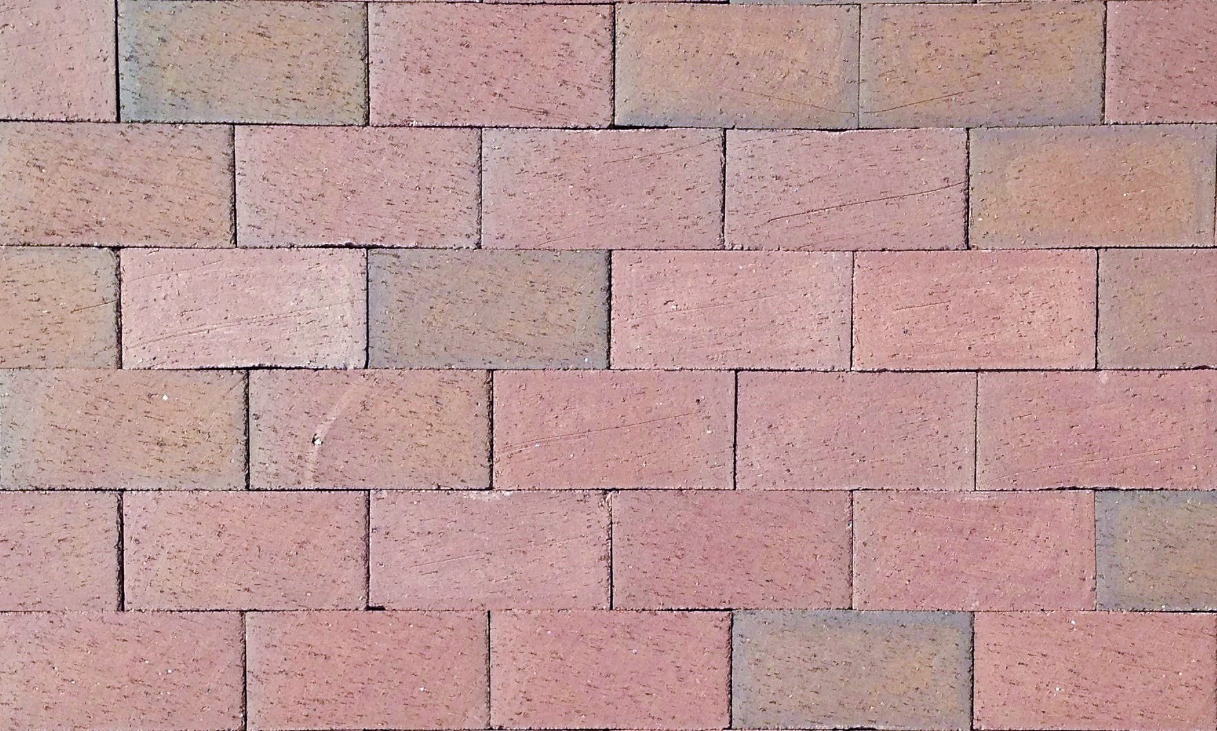 Pathway Rose - Pine Hall Brick