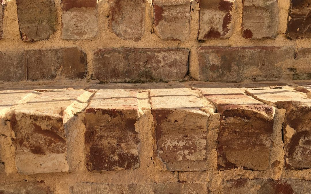 Salmon White Color Brick In Sunlight - Pine Hall Brick