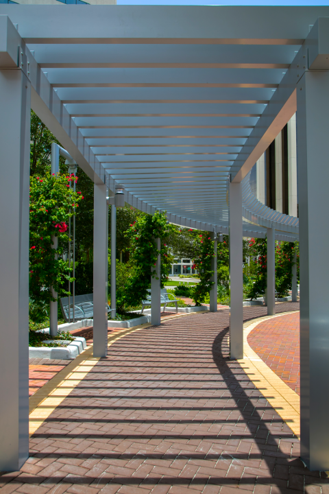 Photo essay of Lemon Avenue streetscape in Sarasota - Pine Hall Brick