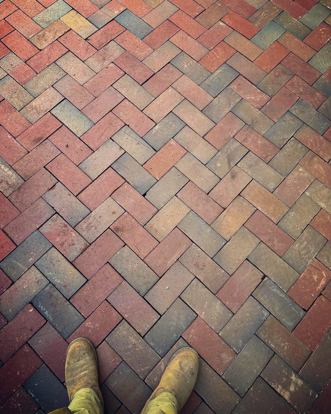 “Jake” of all trades rehabs a narrow sloping courtyard with terraced ...